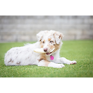 Barking Buddha Beef Cheek Chips | Extra Thick 2"-4" All Natural Rawhide Alternative No Hide Premium Dog Chew Strips | Natural Beef | 1LB Bag