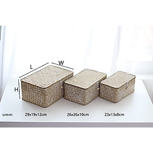 HAPYFURN Seagrass Handmade Woven Storage Basket with Lid Rectangular Natural Rattan Box for Toys Clothes Books Keys Multifunctional Makeup Organizer Set of 3 Shelf Basket