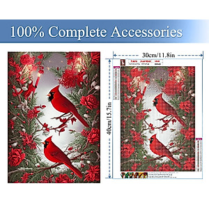 JFYHAB 5D Diamond Painting Kits for Adults Full Drill North American Cardinal Kit Embroidery Rhinestone Painting Round Drill Cardinal Birds Paint with Diamond for Christmas Home Wall Decor 12x16