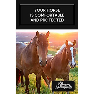 Kensington Horse Fly Mask with Protective Mesh and Plush Fleece Ears- Protection from Bites and Perfect for Wound Recovery, Pony, Lavender Mint