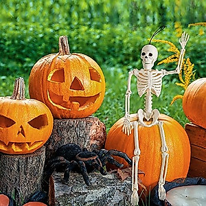 Bstoyder 6 PCS Halloween Skeletons Decorations, 16" Full Body Posable Joints Hanging Skeletons, Spooky Skeleton Plastic Bones for Halloween Indoor Outdoor Decor, Party Props, Graveyard, Haunted House