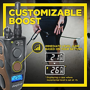 Dogtra ARC HANDSFREE Plus Boost and Lock, Remote Dog Training E-Collar, HANDSFREE Square for Discreet Control, Waterproof, Rechargeable, 3/4-Mile Range, 1 Dog Expandable System Medium, Large Dogs