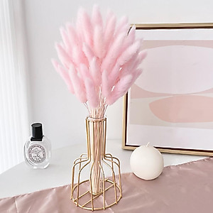 60PCS Rabbit Tail Grass Dried Flowers Dried Natural Floral Arrangement Bunch Decoration Dried Grass,Eternal Flower Dried Grass for Home,Wedding,Party,Flower Bouquet,Photo Props Decor (Light Pink)