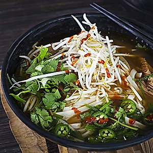 TERRA HOME Ramen Bowl Set with Chopsticks - Large Pho Bowls and Spoons Set Unbreakable Japanese Ramen Bowl - 6 Piece Matte Black Asian Noodle Bowls - 54 Ounce