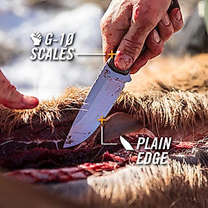 Gerber Gear Downwind Drop Point - Hunting Knife with Sheath for Camping & Hunting Gear - Olive