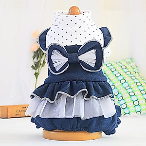 HonpraD Pet Clothes for Small Dogs Girl Dog Dresses Autumn and Winter Thickening Four Legs Princess Bow Denim Skirt