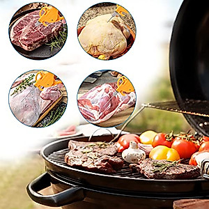 Electric Meat Injector Gun Pump with Hose, 70W Automatic Marinade Injector Meat Syringe Single Gun with 10 Stainless Steel Needle for Roast Turkey, Pork, Beef