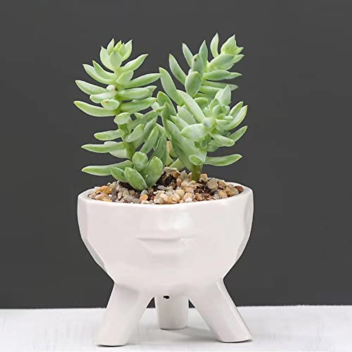 YONGYAN Face Shape Flower Pot Statue Decoration Ceramics Garden Head Planters Containers Pot Bookshelf Office Desktop Decor