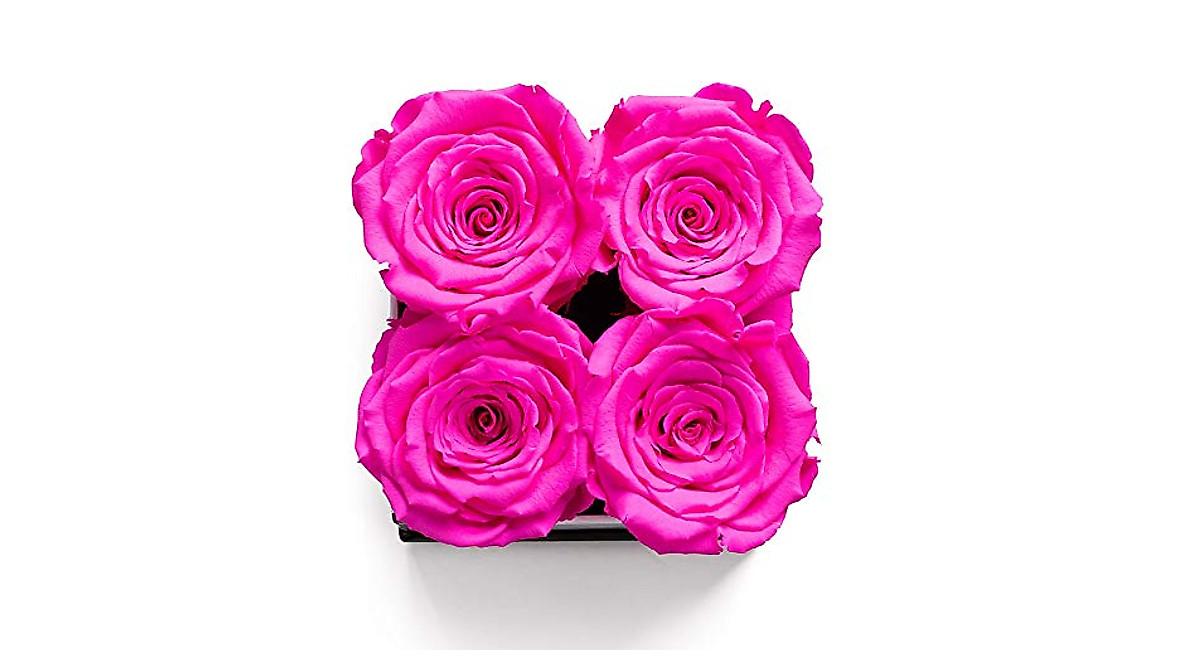 Soho Floral Arts Roses in a Box | Lasting Preserved Roses for Gifts