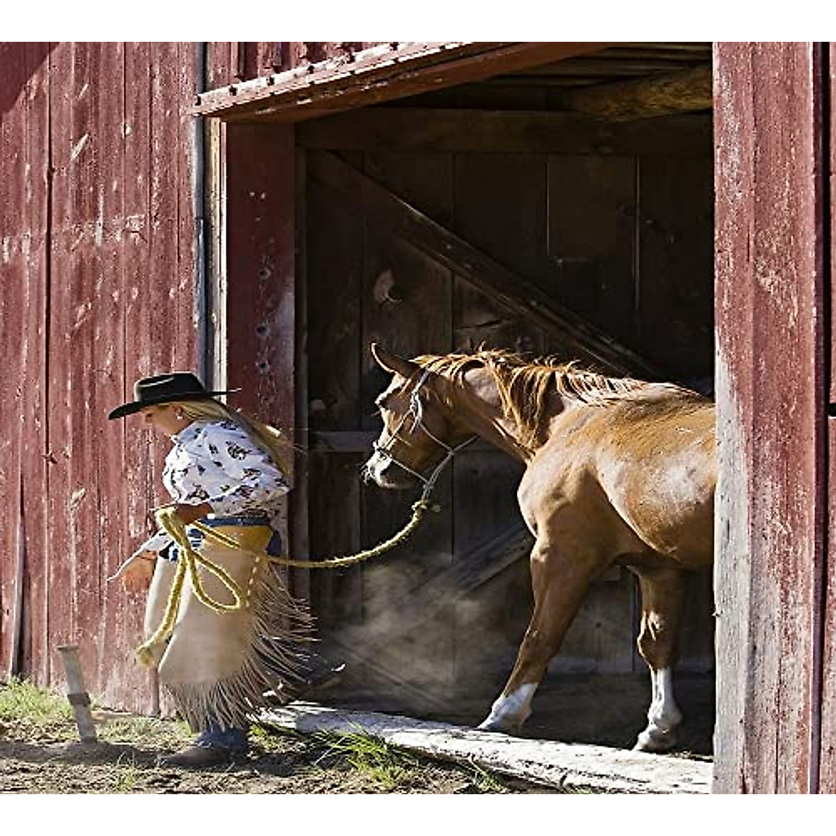 AOLAMIGOD Wall Mount Horse Tie Ring, Cross Tie Rings for Horses, 2 inch Tie Ring Plate Zinc Plated 2 Pack