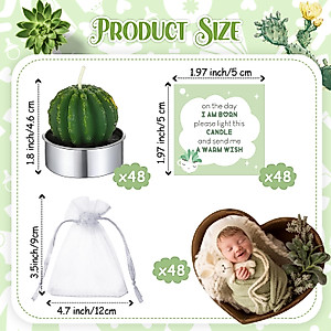 MTLEE 48 Sets Baby Shower Favors Include 48 Succulent Pumpkin Shaped Candles Fall Mini Plants Tea Lights Candles with 48 Invitations Cards and 48 Organza Bags for Baby Gender Reveal Guests(Succulent)
