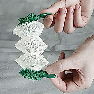 Coleman NorthStar Propane Lantern