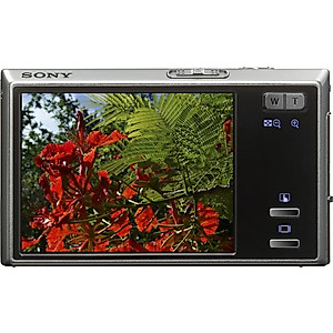 Sony Cybershot DSC-T50 7.2MP Digital Camera with 3x Optical Zoom (Silver)