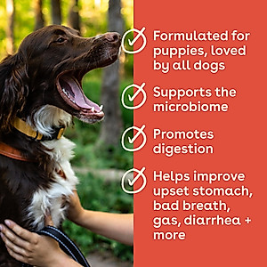 Pupford Gut Health & Immunity Supplement for Puppies and Adult Dogs, Made in The USA, Vet Approved, No Artificial Flavors, Peanut Butter and Jelly, Net Wt. 6.3 oz (120g)