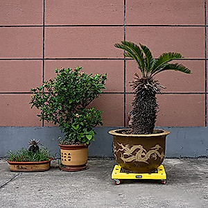 trimate KD Furniture Dolly, 300Lbs, Rectangle: 20”x16”, by, Multicolor