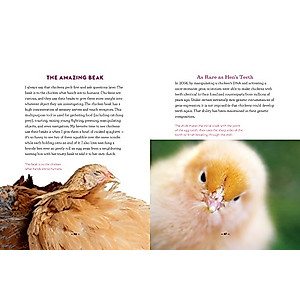 How to Speak Chicken: Why Your Chickens Do What They Do & Say What They Say
