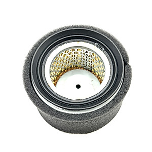 Lombardini-Kohler ED0021752540-S Genuine OEM Air Filter Element 2175.221