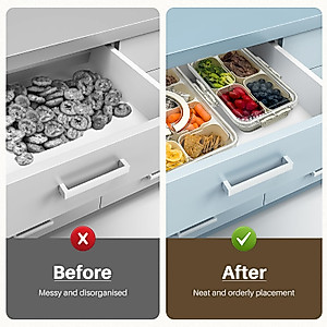 CODIEKEY Snackle Box Container, Dishwasher Safe Snack Box for Adult Kids, 4 compartments Plastic Divided Serving Tray with Lid and Handle for Candy, Fruits, Snacks, Nuts, Small,1 Pack