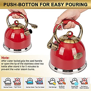 Tea Kettle, Stovetop Whistling Teapot, Stainless Steel, Black, 3.0-Quart