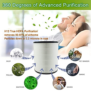 Flintar LV-H135 True HEPA Replacement Filter, Compatible with LV-H135 Air Purifier, 3-in-1 H13 Grade True HEPA Filtration System, LV-H135-RF, 1-Pack