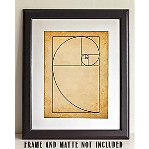 Fibonacci Spiral - 11x14 Unframed Art Print - Makes a Great Gift Under $15 for Artists
