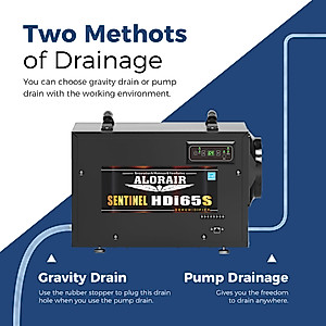 AlorAir Commercial Dehumidifier with Pump Drain Hose, 190 Pints Smart WiFi Large Capacity Industrial Dehumidifier for Basements, Garages & Job Sites, 5 Years Warranty, Green (Black)