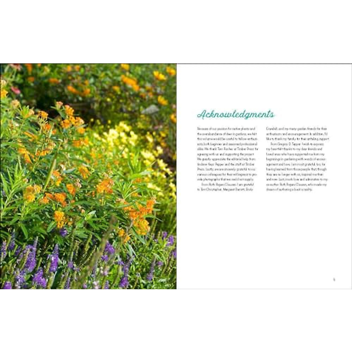Deer-Resistant Native Plants for the Northeast
