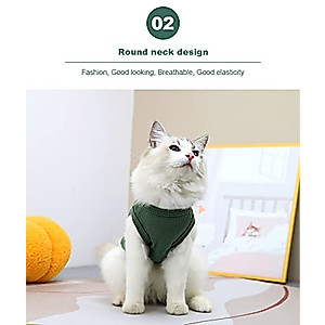 Cat Clothes, KISOLD Pet Cat Clothes Chic Bear Casual T-Shirt Apparel for Cat Kitten Puppy for Spring and Summer, Green, M