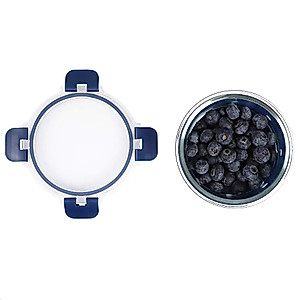 Home Basics B08NK8YP7N Food Storage Container, 13 Ounce, Indigo