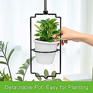 Autrucker Hanging Planters for Indoor Plants, Metal Wall and Ceiling Plant Hanger with Flower Pot for Home Decor, Set of 2, Black