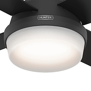 Hunter Fan Company 52391 Dempsey Ceiling Fan, 44 Inches, Matte Black