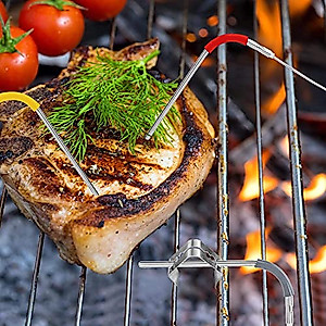 Meat Probe for Weber iGrill (Pack of 2)