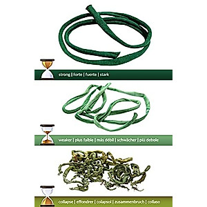 Biostretch Soft Plant Ties for House and Garden Plants - Environmentally Friendly Stretchy Green Plant Tape and Garden Twine Plant String 2 Pack (Green Bio Roll x 2)
