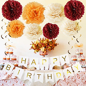 Fall Birthday Party Decorations Burgundy Champagne Orange Tissue Pom Pom Happy Birthday Banner Fall Party Decorations/30th Birthday Decorations/Burgundy Birthday Decorations