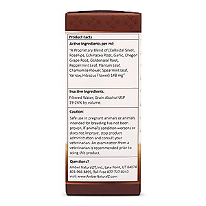 Amber NaturalZ - Paxaid Digestive Rescue - Appetite, Gut, Digestive Health, and Vitality Support for Puppies and Dogs. Helps Support Digestive enzymes and Occasional gastric upsets - 1 Oz Bottle