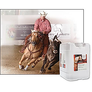 UltraCruz Equine Detangler Spray for Horses, 5 Gallon Refill