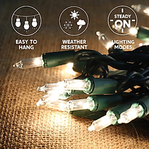 Joiedomi Clear Christmas Lights Outdoor, 300(2x150) Counts 77.8FT Christmas Tree Lights Indoor, Warm White String Lights, Green Wire Xmas Lights Decorations for Holiday Event Wedding Party Decor