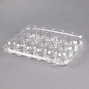 5 Cupcake Containers Plastic Disposable | Clear Mini Cupcake Boxes 24 Compartment Cupcake Holders Disposable Cupcake Carrier | 2 Dozen Cupcake Trays | Durable Cup Cake Muffin Packaging Transporter