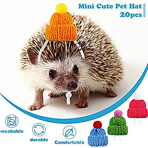 20 Pcs Pet Snake Hat with Adjustable Elastic Chin Strap, Small Reptile Animal Hamster Knitted Hat Pompon Mini Hats for Pets Snake Ball Python Lizard Guinea Pig Chameleon Iguanas Accessories Decoration