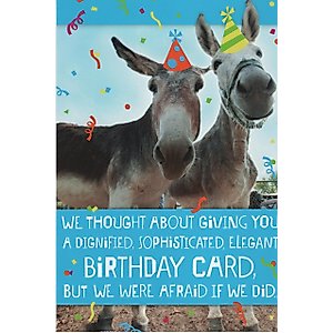 Heartline Funny Donkey Birthday Card - We Thought About Giving You a Dignified, Sophisticated, Elegant Birthday Card, But We Were Afraid If We Did... You Might Not Know It Was From Us!