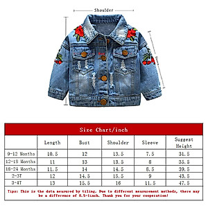 Top and Top Baby Girls Denim Jacket Rose Flower Embroidery Toddler Ripped Denim Coat For Kids (80/9-12 Months), Blue