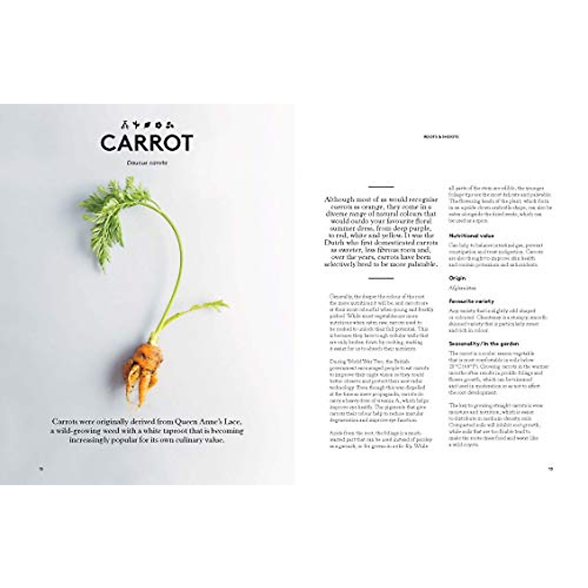 Root to Bloom: A Modern Guide to Whole Plant Use