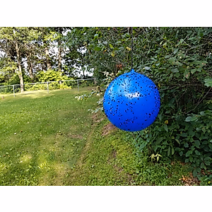 Deer Fly Ball 2 Pack Starter Kit Complete - Odorless Eco-Friendly Biting Fly and Insect Killer with NO Pesticides or Electricity Needed, Kid and Pet Safe