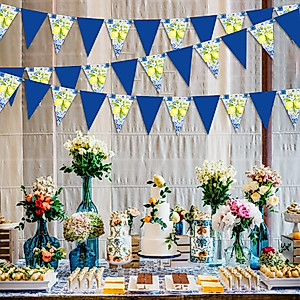 Blue and Lemon Party Decorations - 3pcs Lemon Bunting Banners, Lemonade Hanging Triangle Banner Garland for Lemon Wedding Engagement Bridal Shower Bachelorette Baby Shower Birthday Party