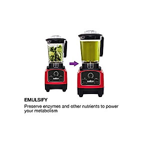 Salton Compact Power, Red Blender, 1.2 Liters (BL1638R)