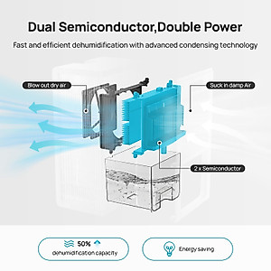 Cobectal Electric Dehumidifier for Home, Portable Dehumidifier Auto Shut Off, 3 Modes with 95oz Water Tank, Air Dehumidifier with Colorful Light for Basement, Bedroom, Bathroom, Closet (White)