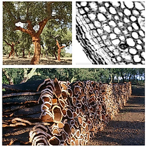 Cork Fabric Sheet 23" x 53" (60x135cm) - Wood Grain Leather Fabric Bundle for Wallets Bags Shoes - DIY Craft Project Patchwork