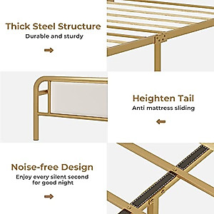 Hasuit Queen Size Bed Frame with Tufted Upholstered Oval Headboard, Heavy Duty Golden Metal Bed Frame Metal with Wooden Slats, Easy Assembly, No Box Spring Needed