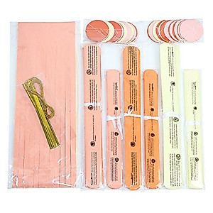 Orange Fall Party Hanging Decorations Thanksgiving Party Ceiling Hangings Wedding Decorations Tissue Paper Pom-Poms Tassel Garlands Baby Shower Birthday Party Decorations