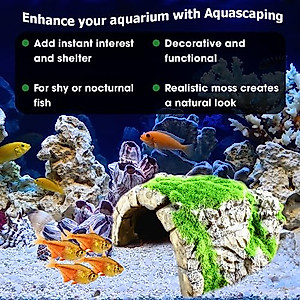 SunGrow Gecko & Ball Python Rock Cave, for Betta Fish, Hermit Crab, Shrimp, Tank Decor Ornaments, House Aquarium Hideout Décor for Aquatic Frog Pets, Resin Hideaway with Artificial Moss